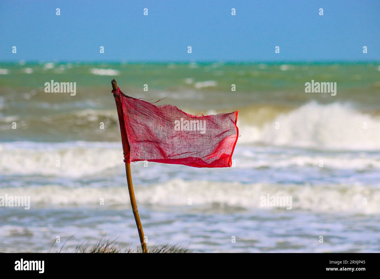 Red warning flag flapping in the wind on beach at stormy weather ...