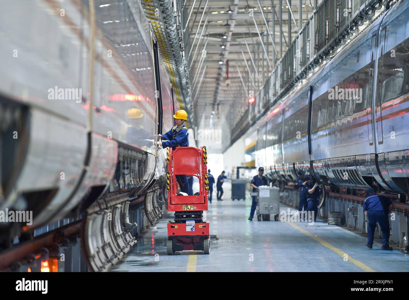 Bull train hi-res stock photography and images - Alamy