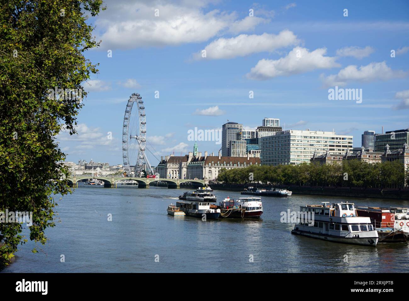London Marriott Hotel County Hall, London Eye and Westminster bridge ...