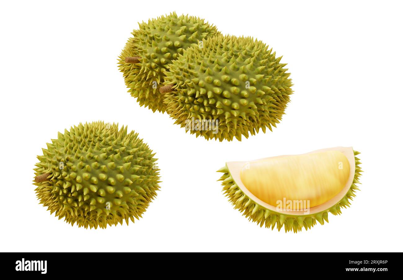 Durian tropical summer fruit Cut Out Stock Images & Pictures - Alamy