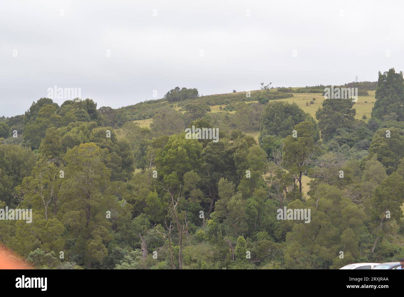 the most indian film shooting places in ooty,the wonderful natural ...