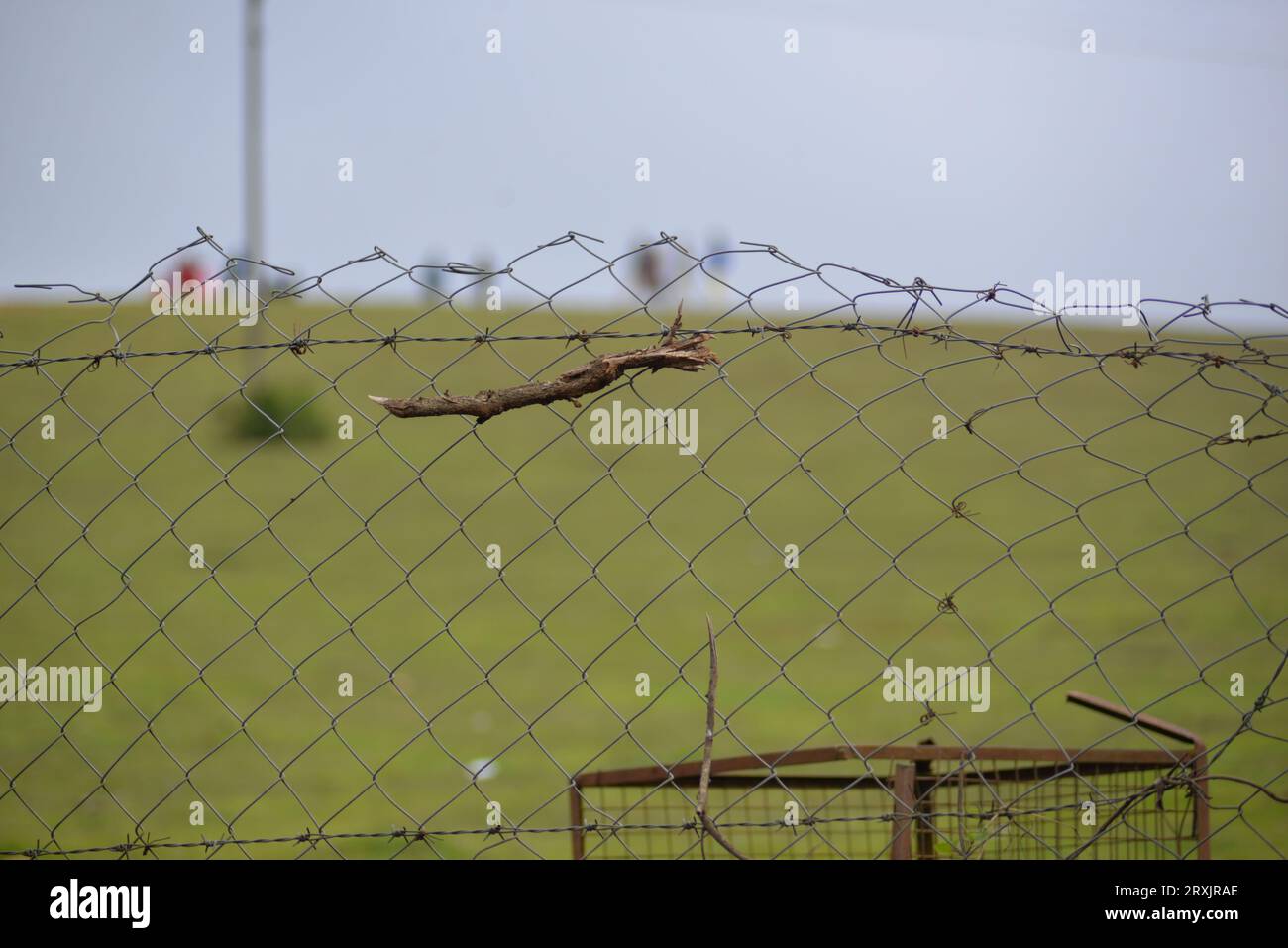 the most indian film shooting places in ooty,the wonderful natural ...