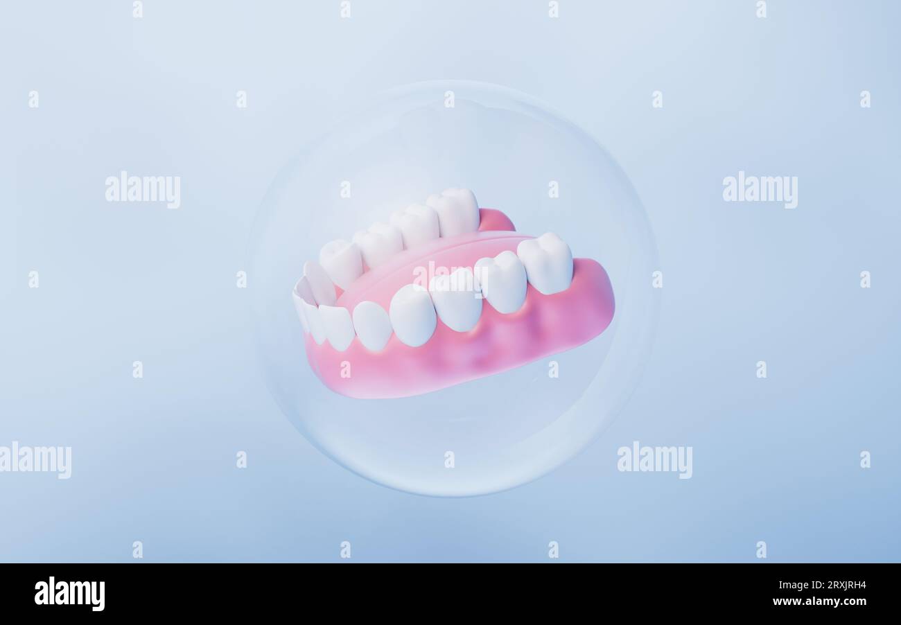 Dentition anatomy drawing hi-res stock photography and images - Alamy