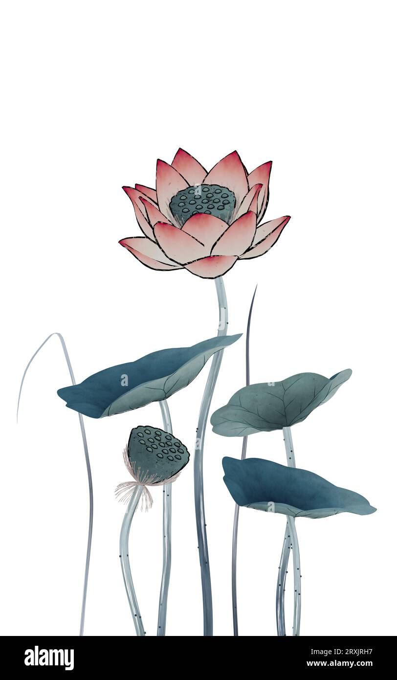 Chinese retro painting style lotus illustration. Digital drawing Stock ...