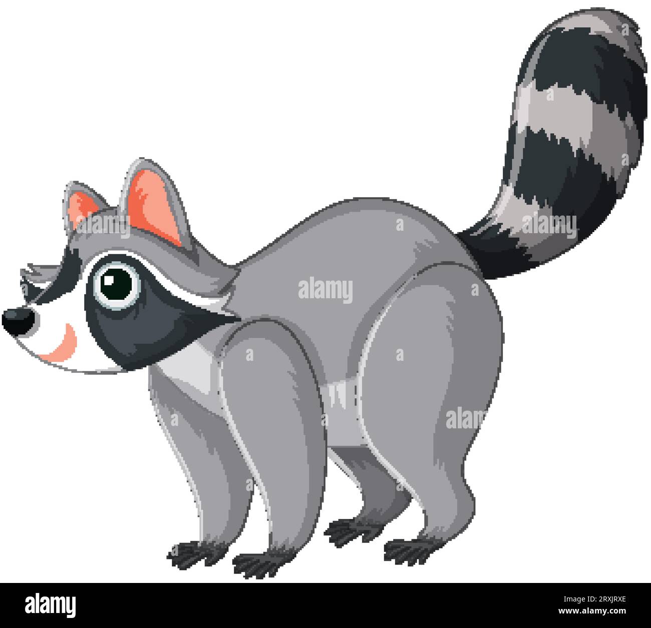 A cute raccoon in a vector cartoon illustration style standing on all ...