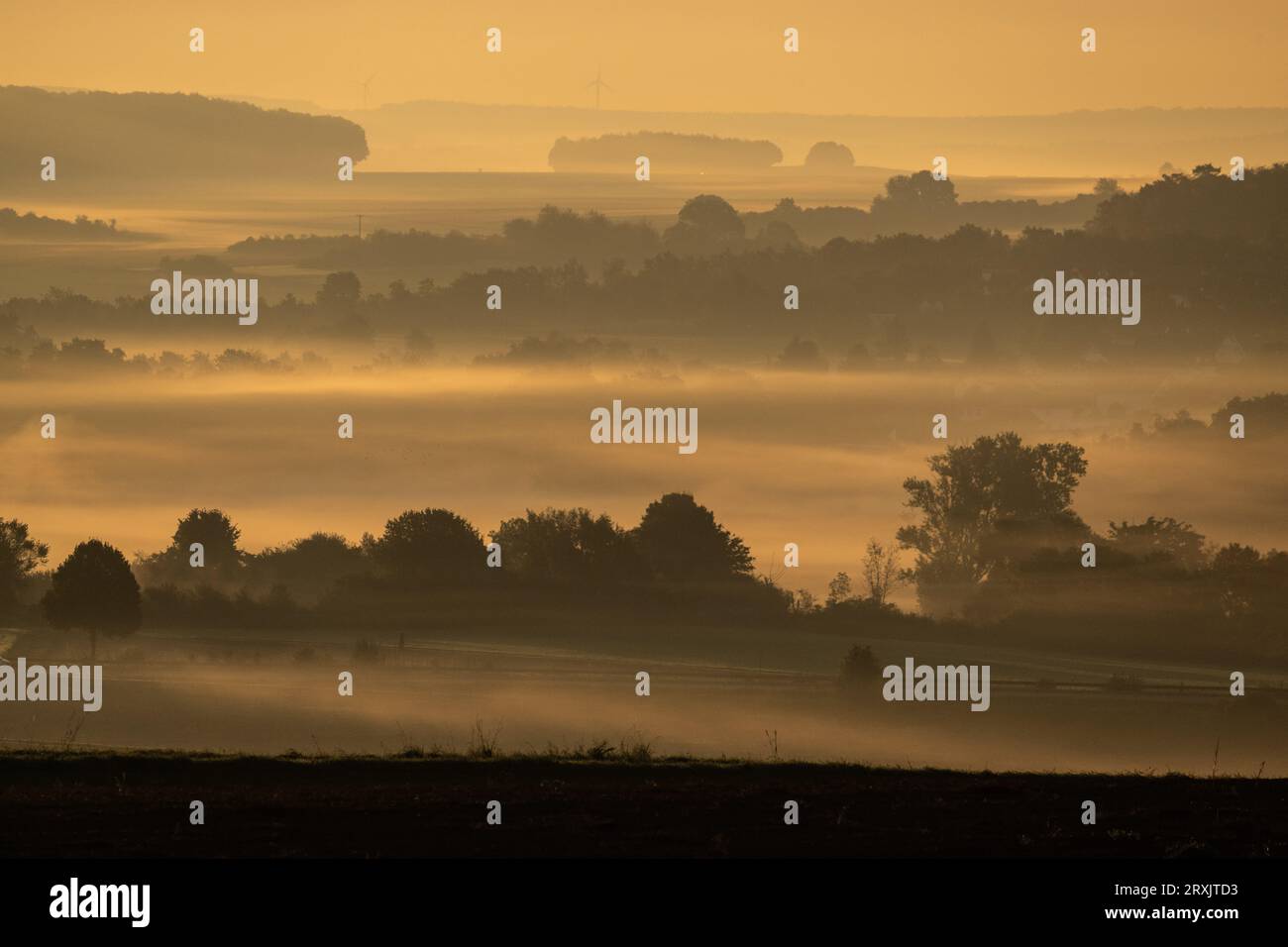 26 September 2023, Hesse, Münzenberg: Fog moves through the Wetterau ...