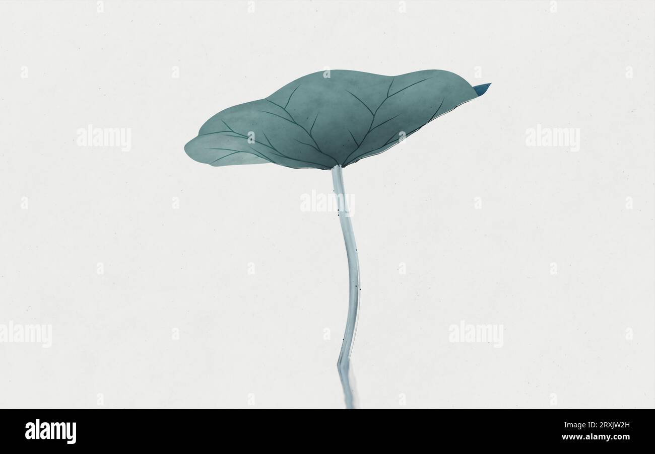 Chinese retro painting style lotus illustration. Digital drawing Stock ...