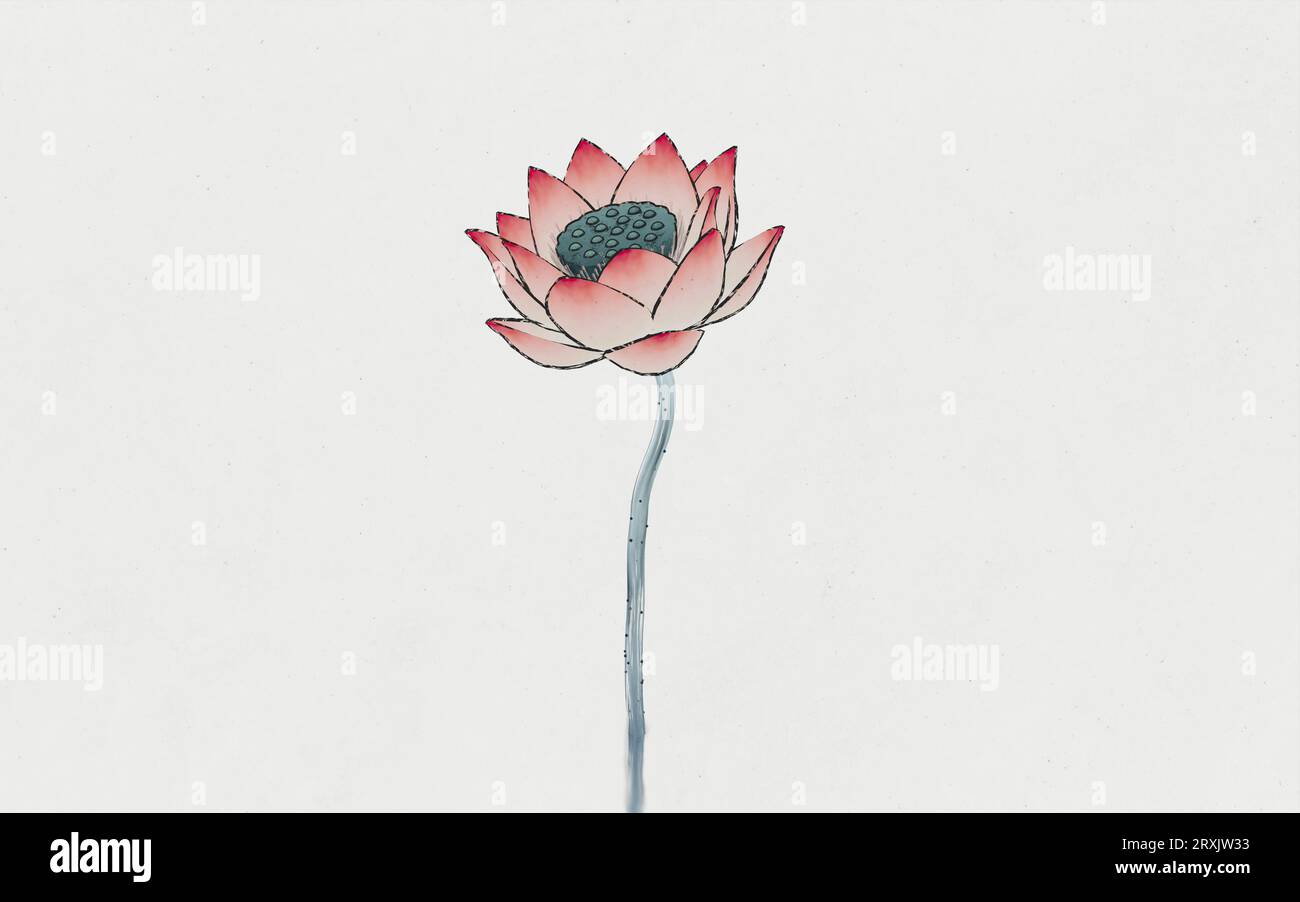 Chinese retro painting style lotus illustration. Digital drawing Stock ...