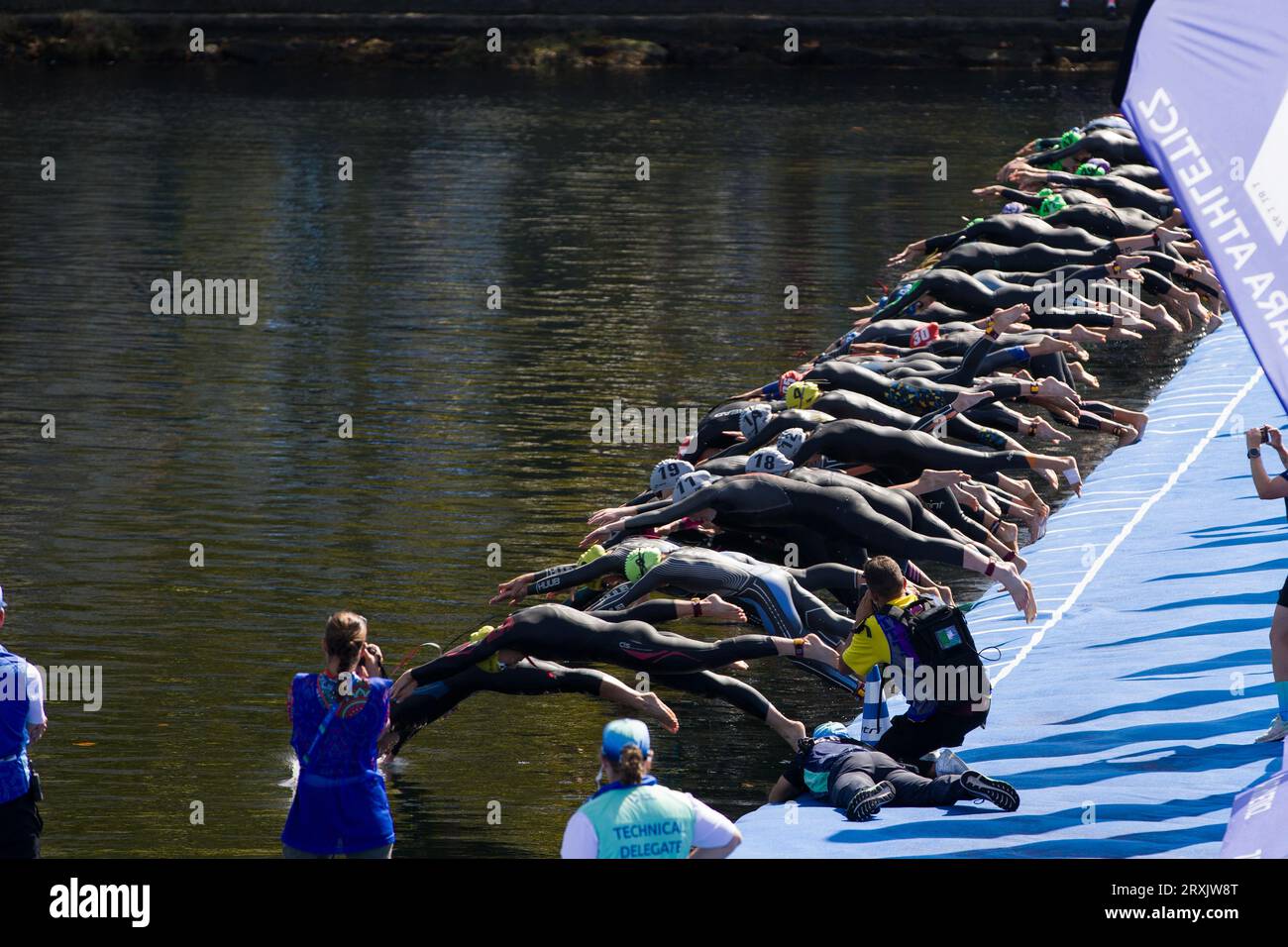 Swimmers jumping into the water in a competition Stock Photo - Alamy