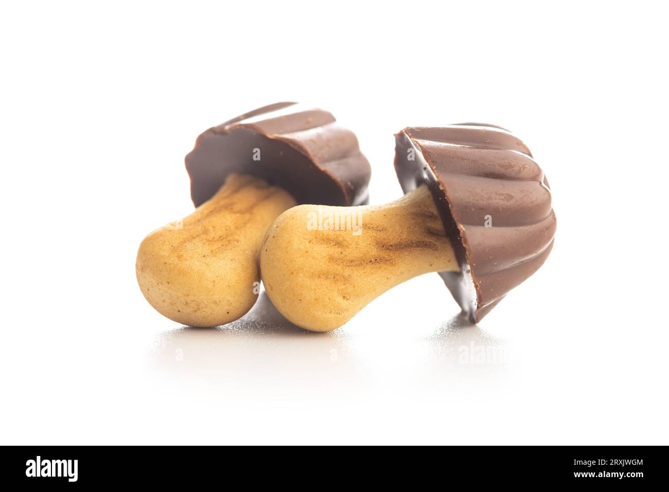 Candy in the shape of a mushroom. Chocolate mushrooms isolated on the ...