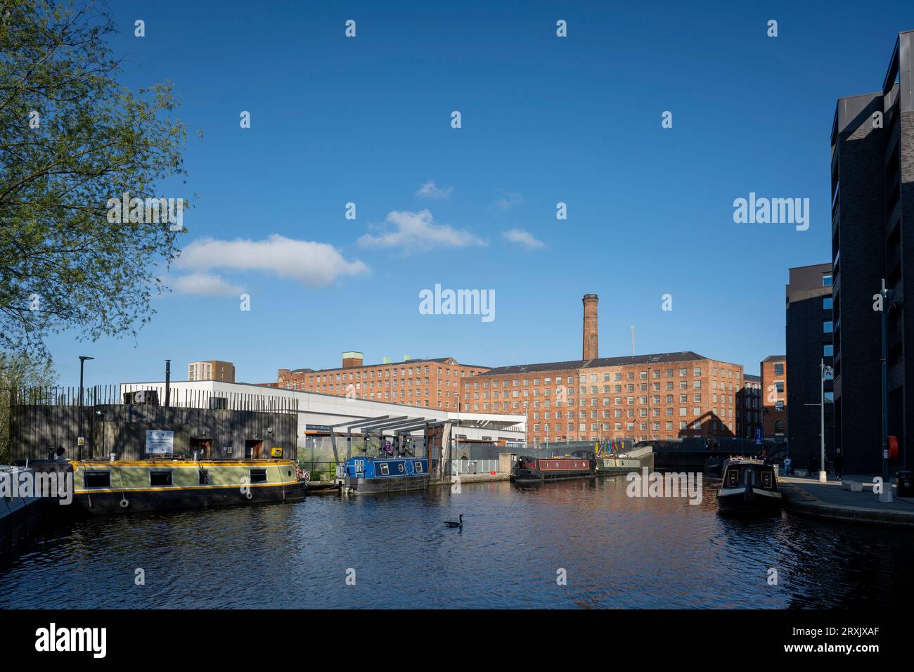 New Islington Marina, Manchester Stock Photo - Alamy
