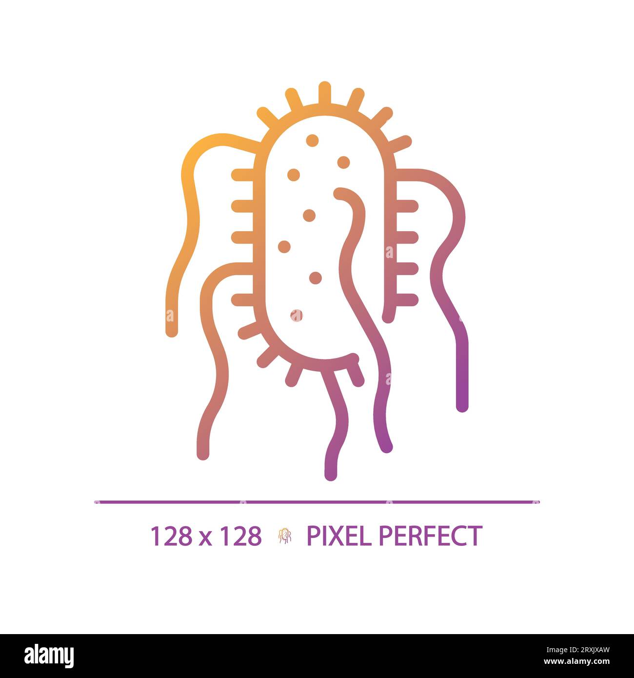 Bacteria salmonella typhi hi-res stock photography and images - Alamy