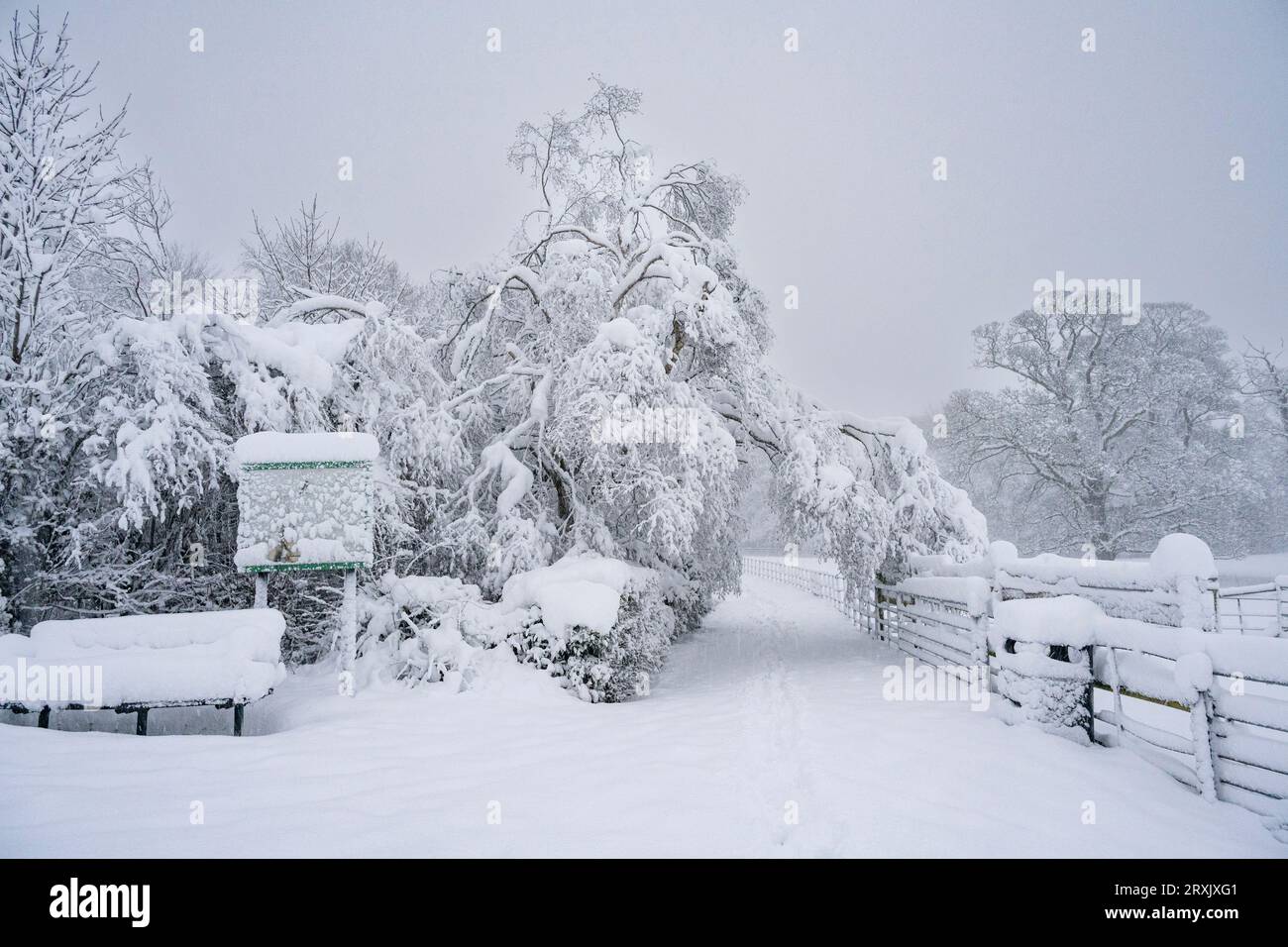 Heavy Snow in the Park, Sheffield Stock Photo - Alamy