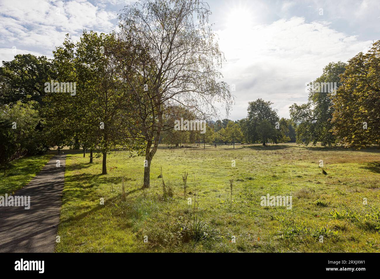 Catford Local Area Photography Stock Photo - Alamy