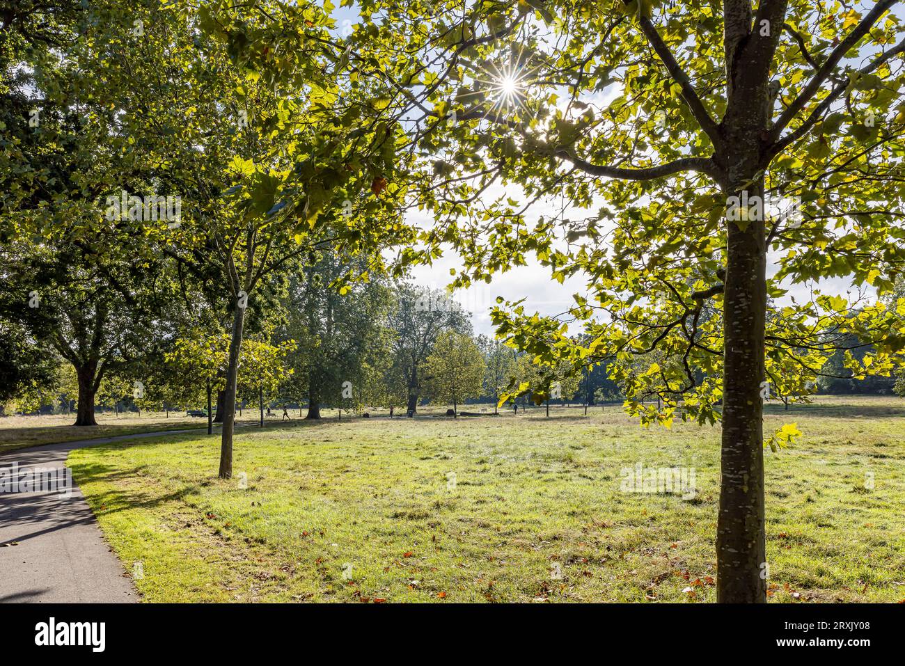 Catford Local Area Photography Stock Photo - Alamy