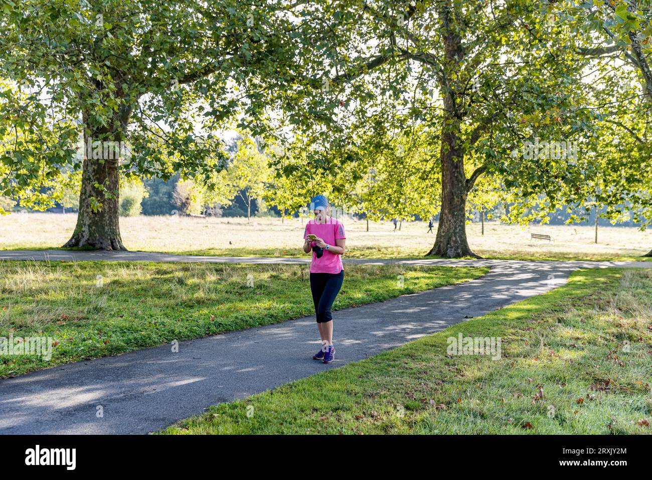 Catford Local Area Photography Stock Photo - Alamy