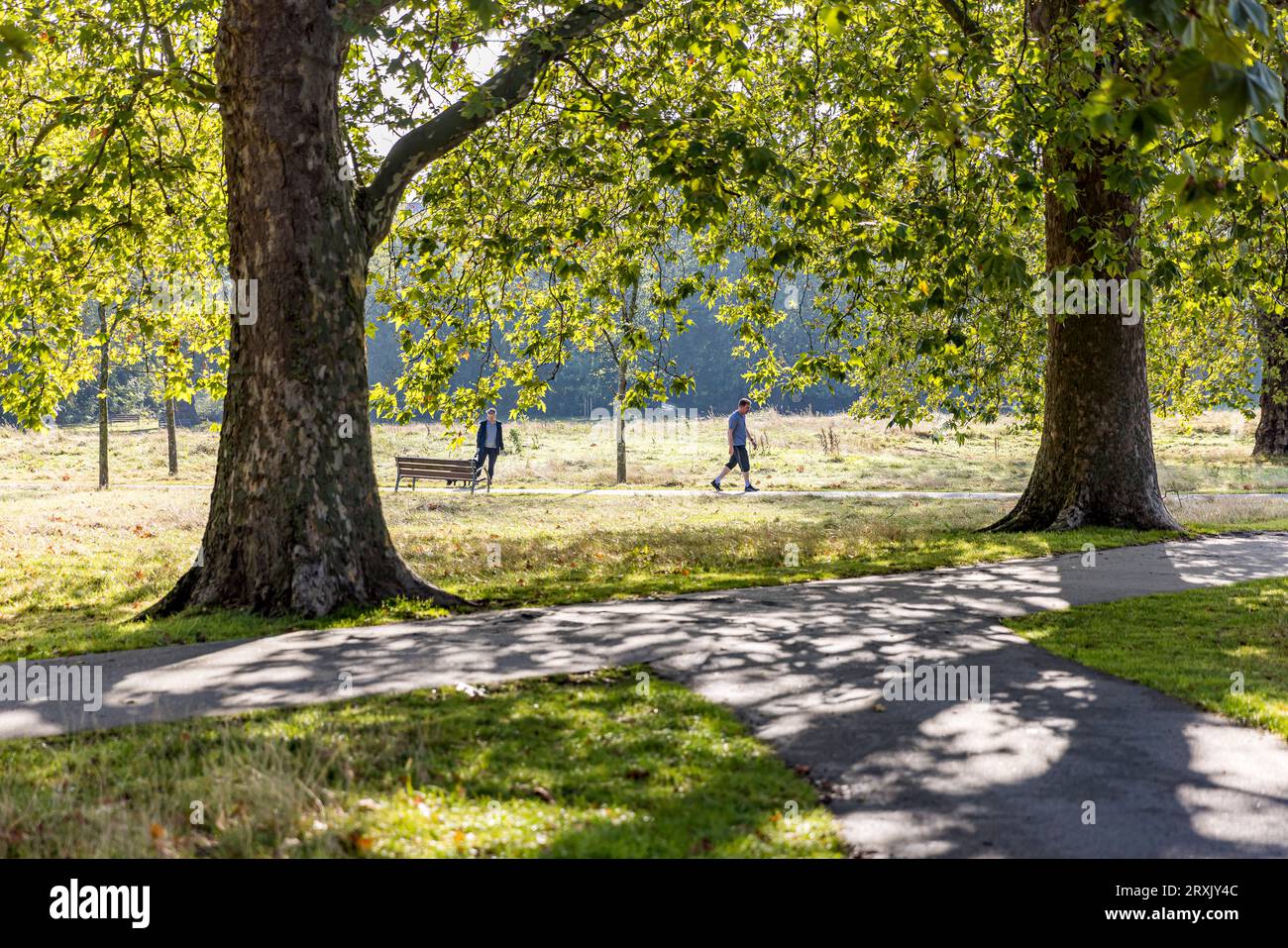 Catford Local Area Photography Stock Photo - Alamy