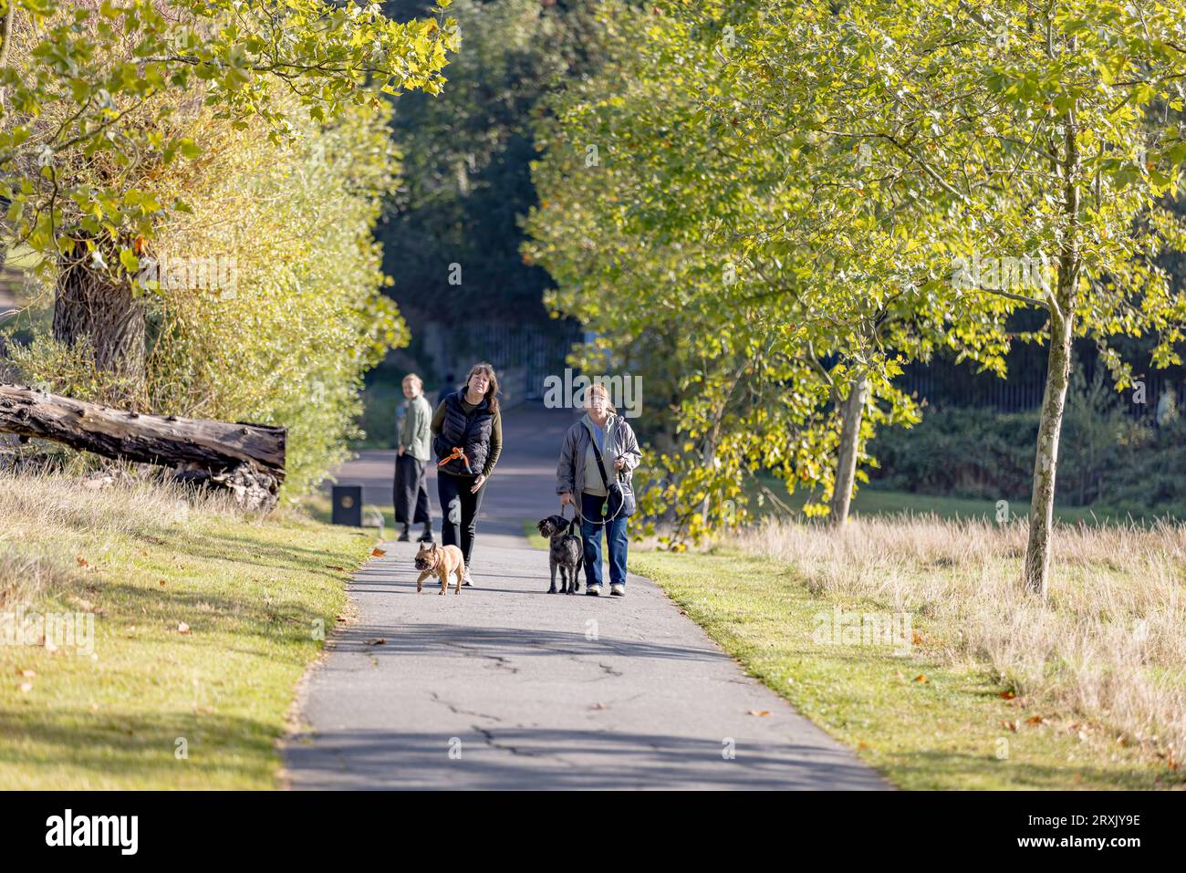 Catford Local Area Photography Stock Photo - Alamy