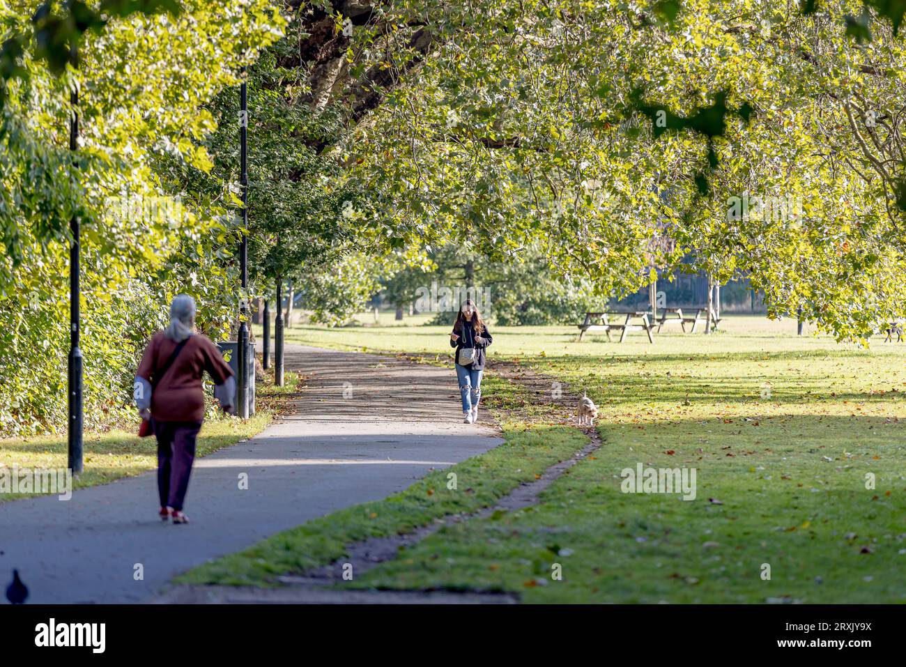 Catford Local Area Photography Stock Photo - Alamy