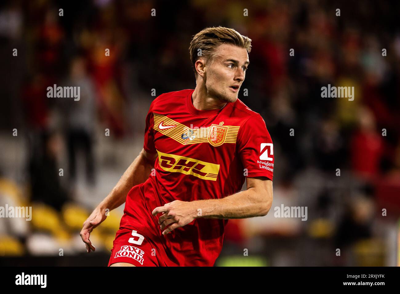 Martin frese hi-res stock photography and images - Alamy