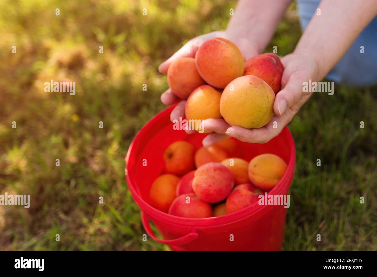 Handpicked hi-res stock photography and images - Alamy