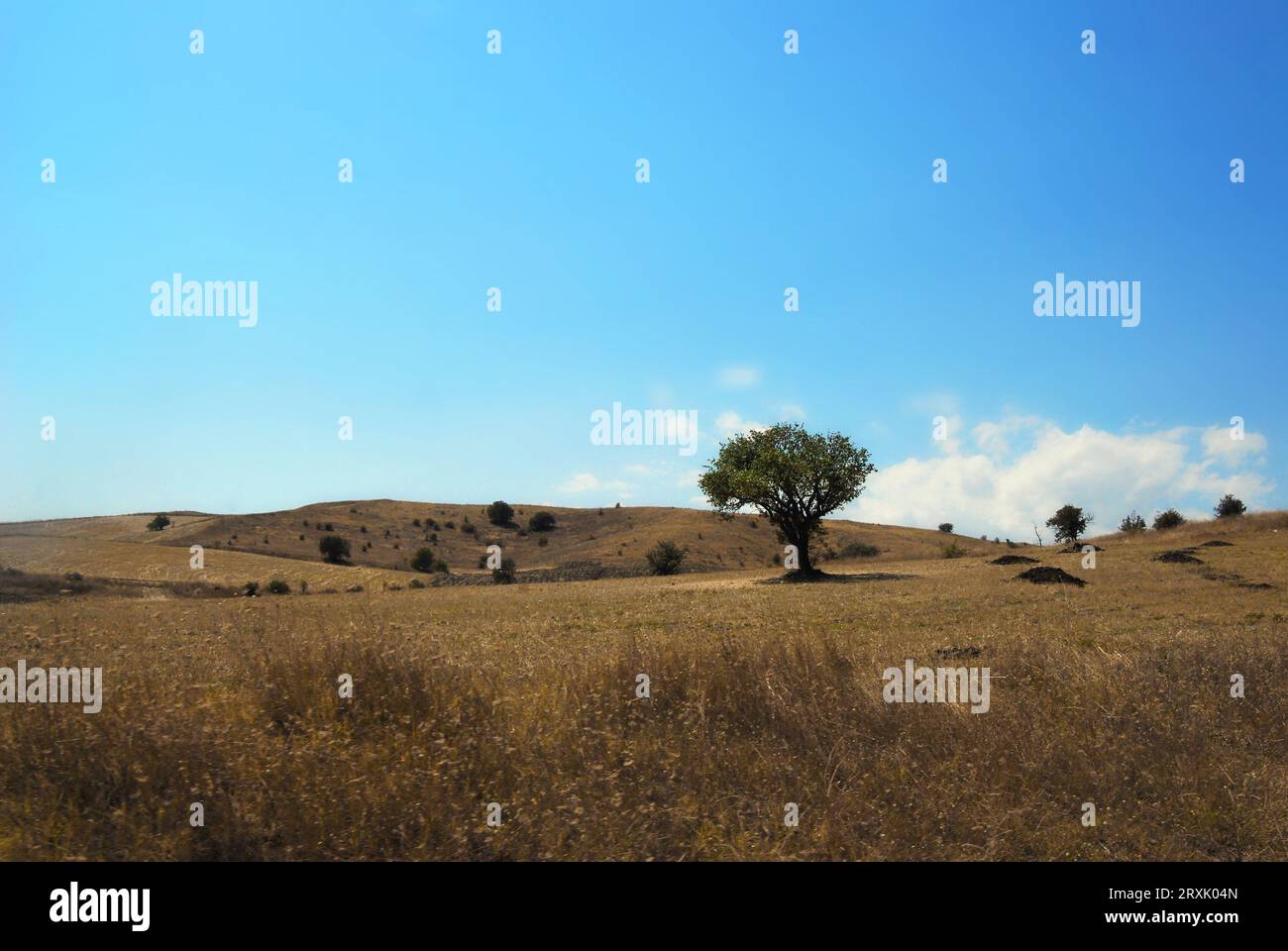 Turkey country farming hi-res stock photography and images - Alamy