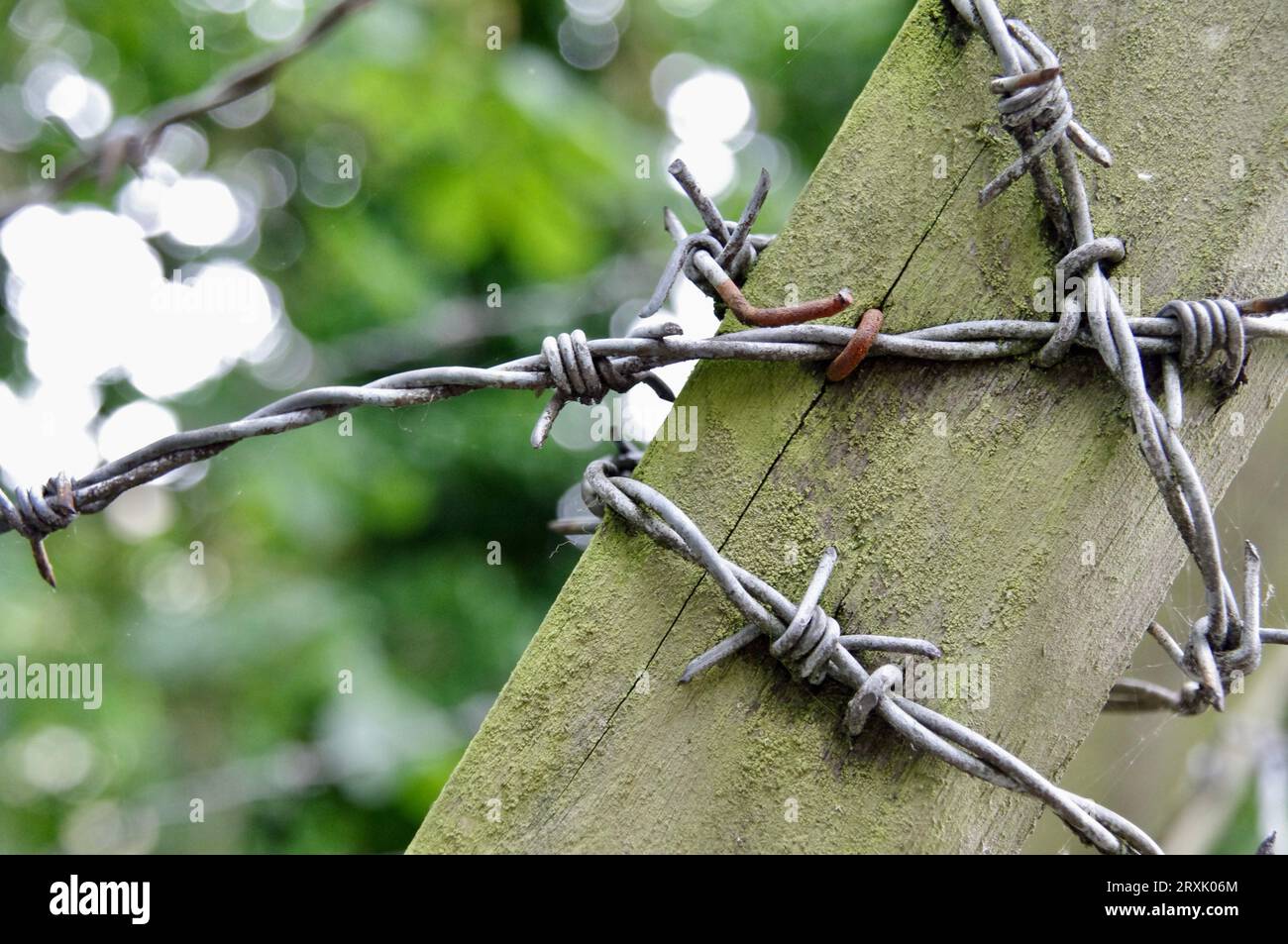 Wrapped barbed wire hi-res stock photography and images - Alamy