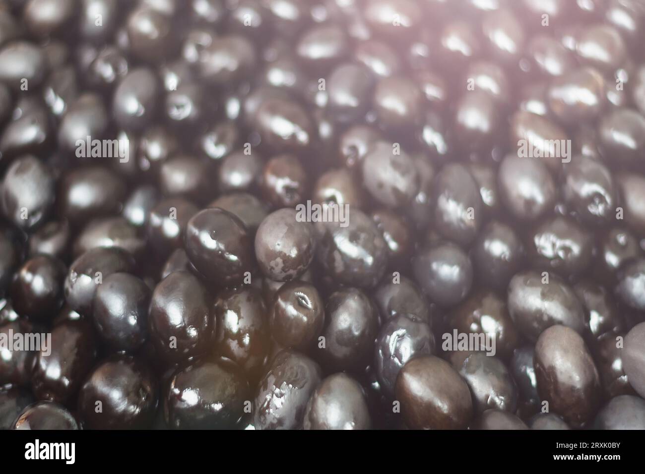 Large olive plantation italy hi-res stock photography and images - Alamy