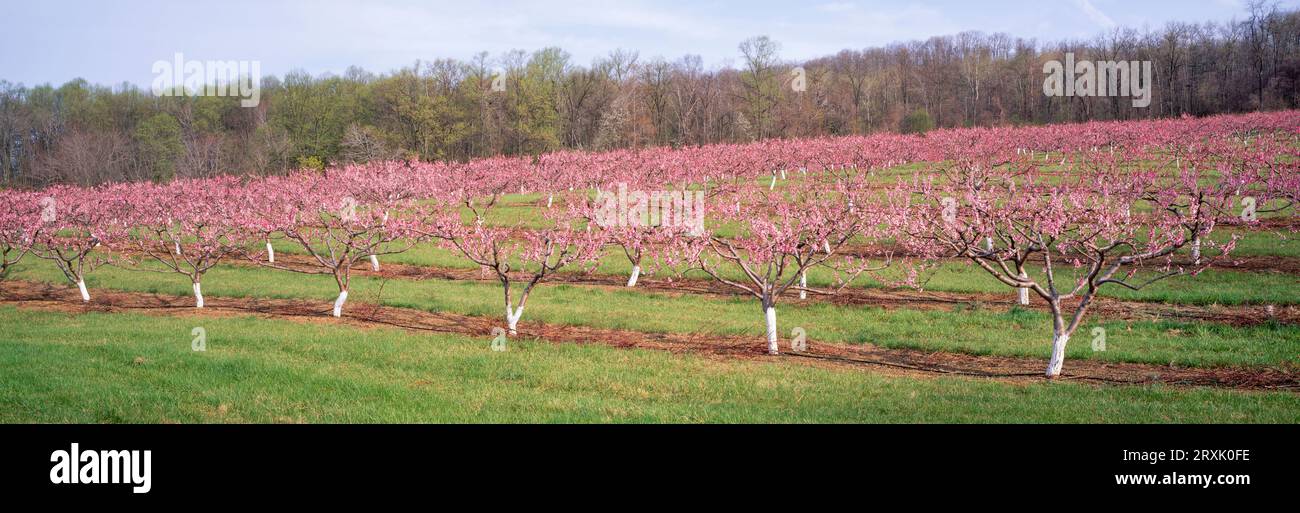 Pennsylvania scenery hi-res stock photography and images - Alamy