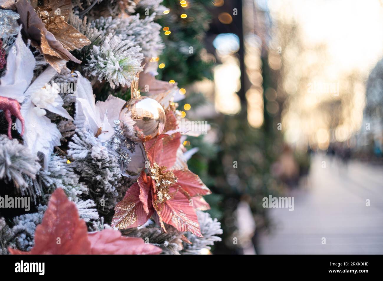 Christmas tree winter new hi-res stock photography and images - Alamy