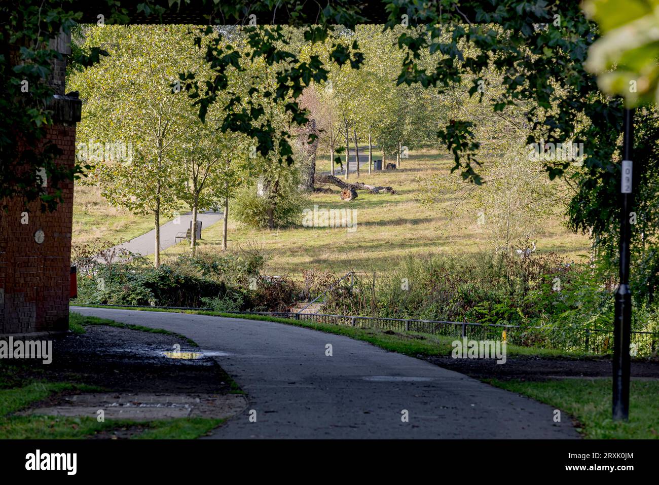 Catford Local Area Photography Stock Photo - Alamy