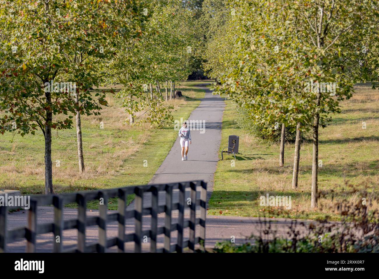 Catford Local Area Photography Stock Photo - Alamy