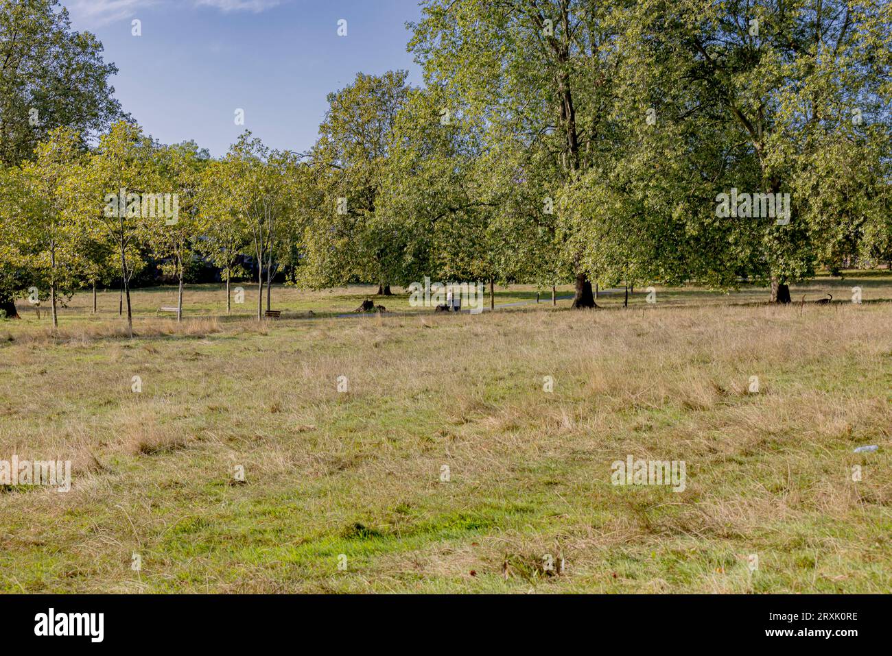 Catford Local Area Photography Stock Photo - Alamy