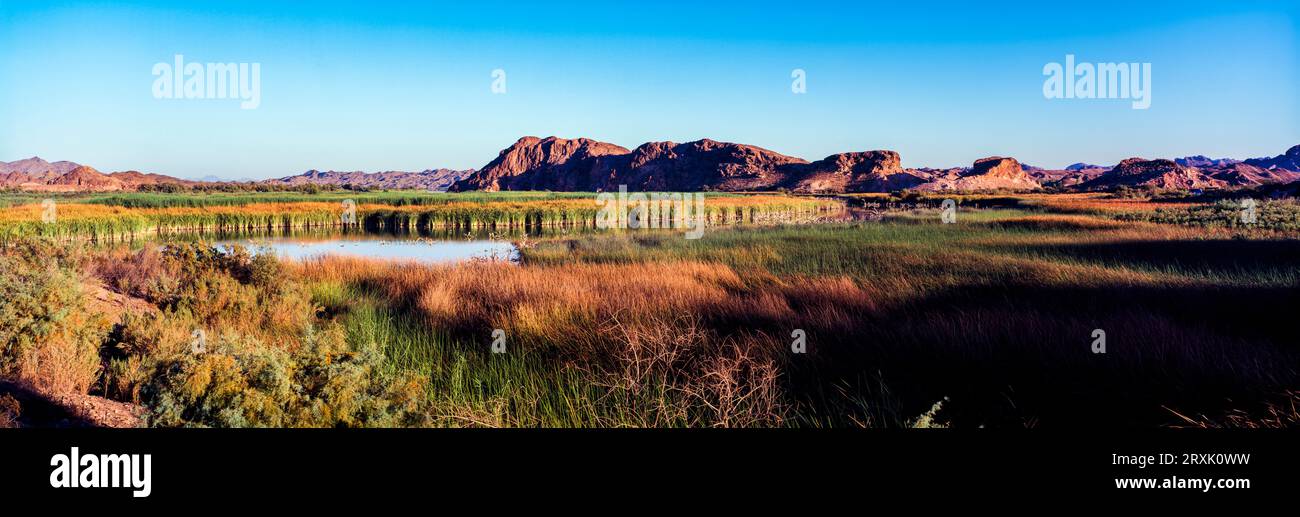 Picacho state recreation area hi-res stock photography and images - Alamy