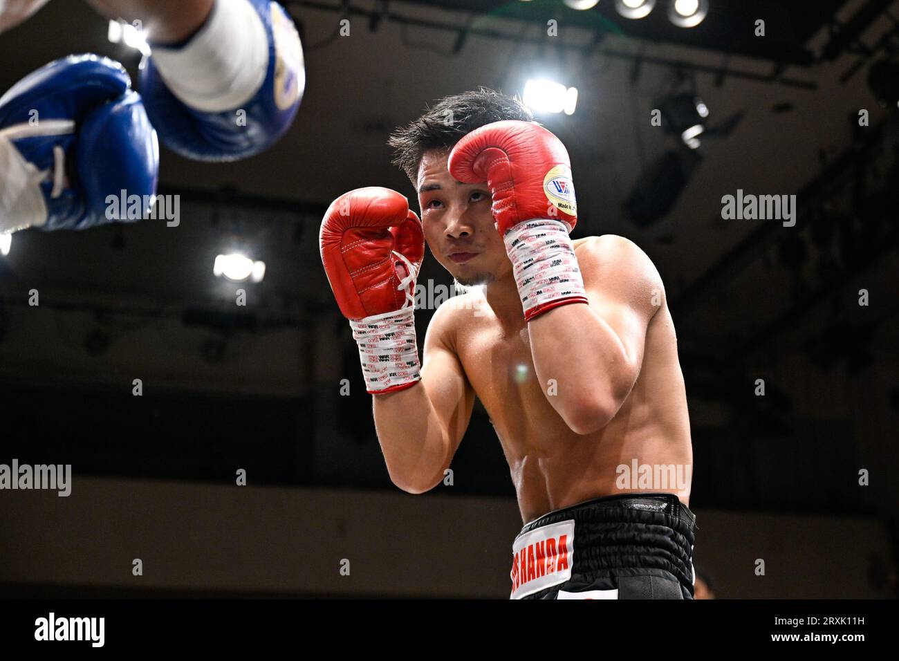 Hiroto Kyoguchi of Japan competes during the 10R flyweight boxing bout ...