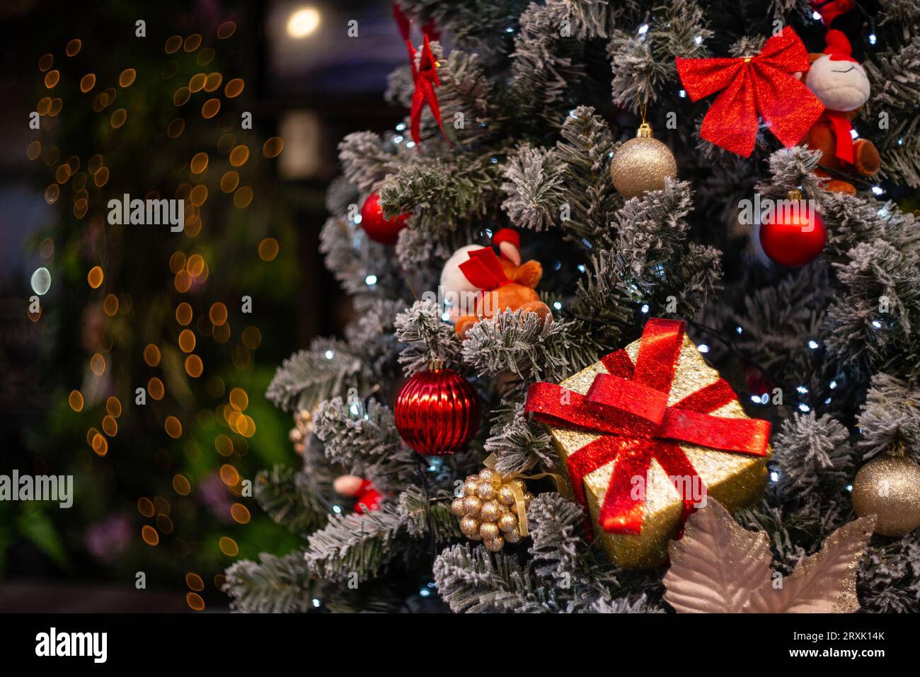 Christmas tree winter new hi-res stock photography and images - Alamy