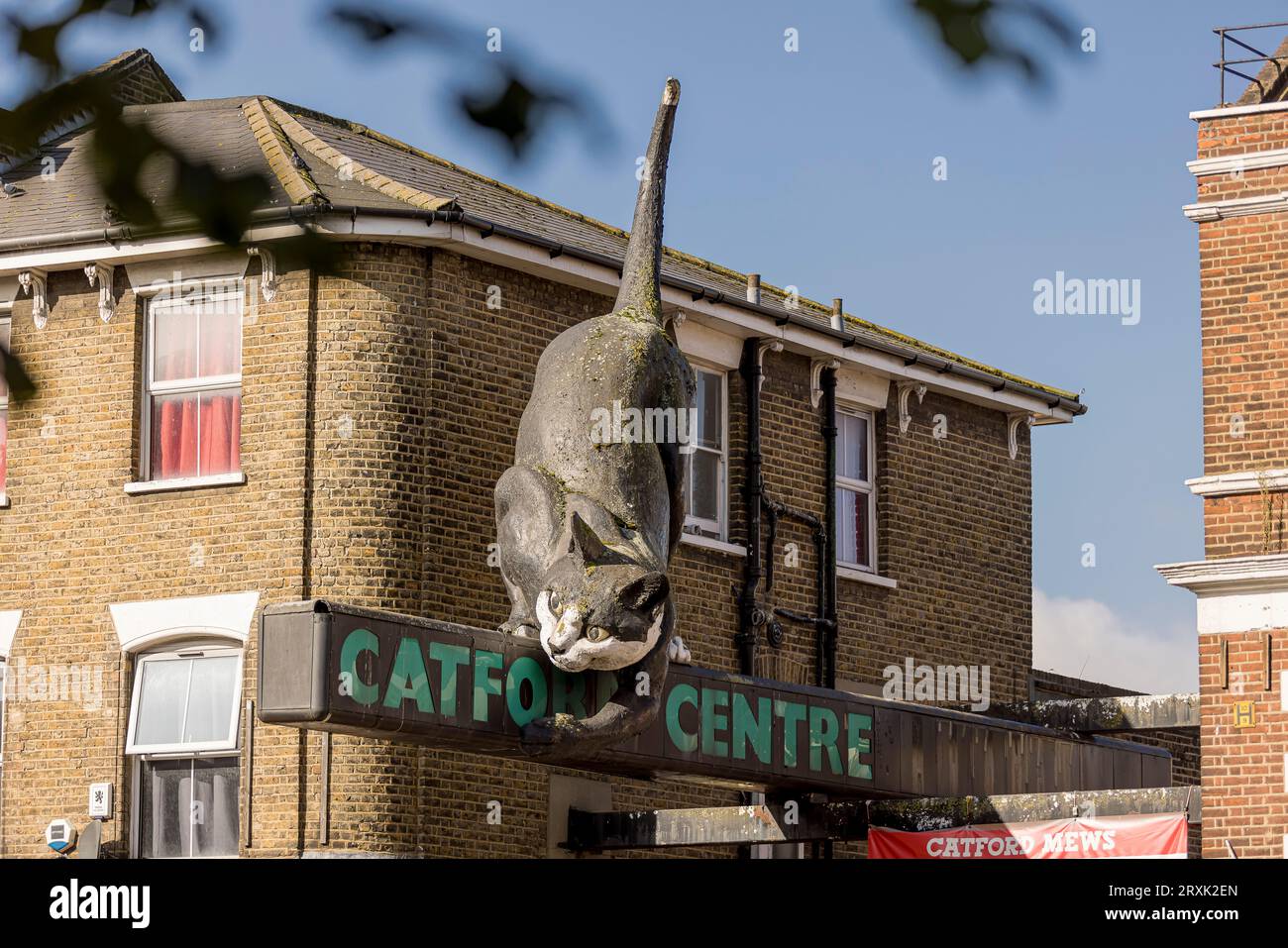 Catford cat hi-res stock photography and images - Alamy