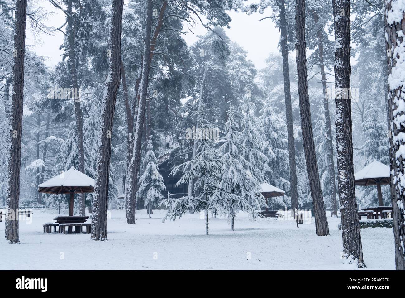 Snowfall outside hi-res stock photography and images - Alamy