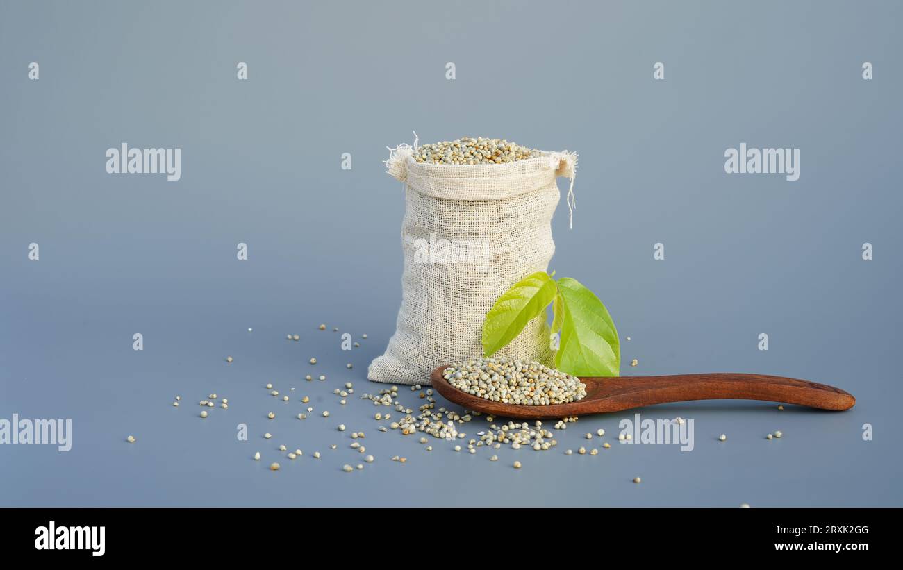 Millet or bajra in jute bag with wooden spoon isolated on gray ...