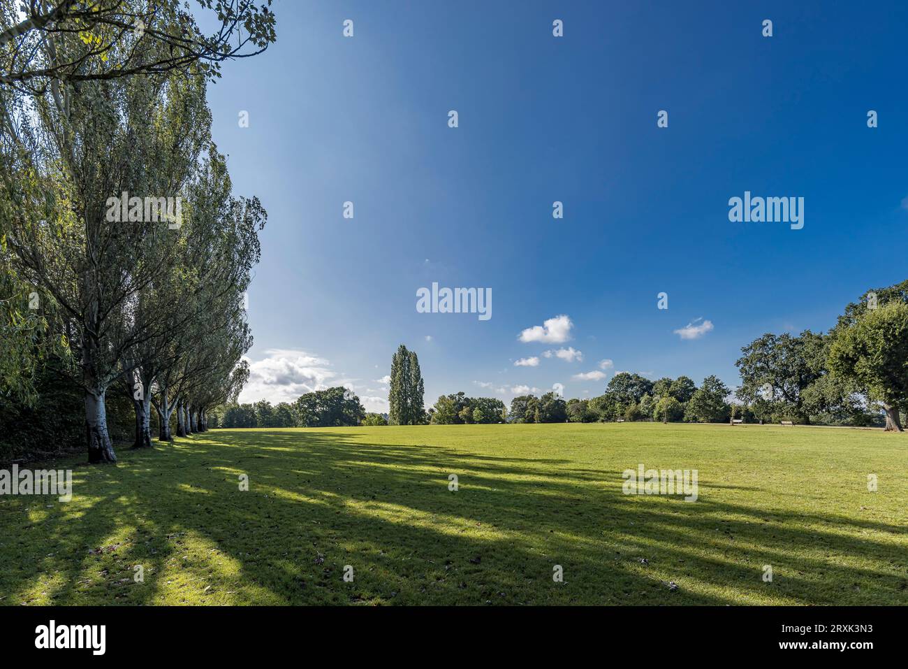 Catford Local Area Photography Stock Photo - Alamy