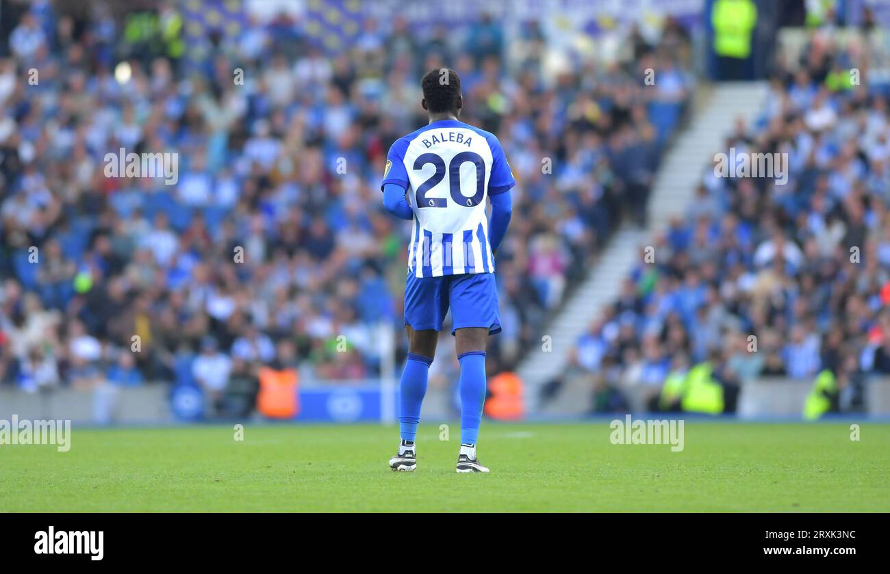 Baleba hi-res stock photography and images - Alamy