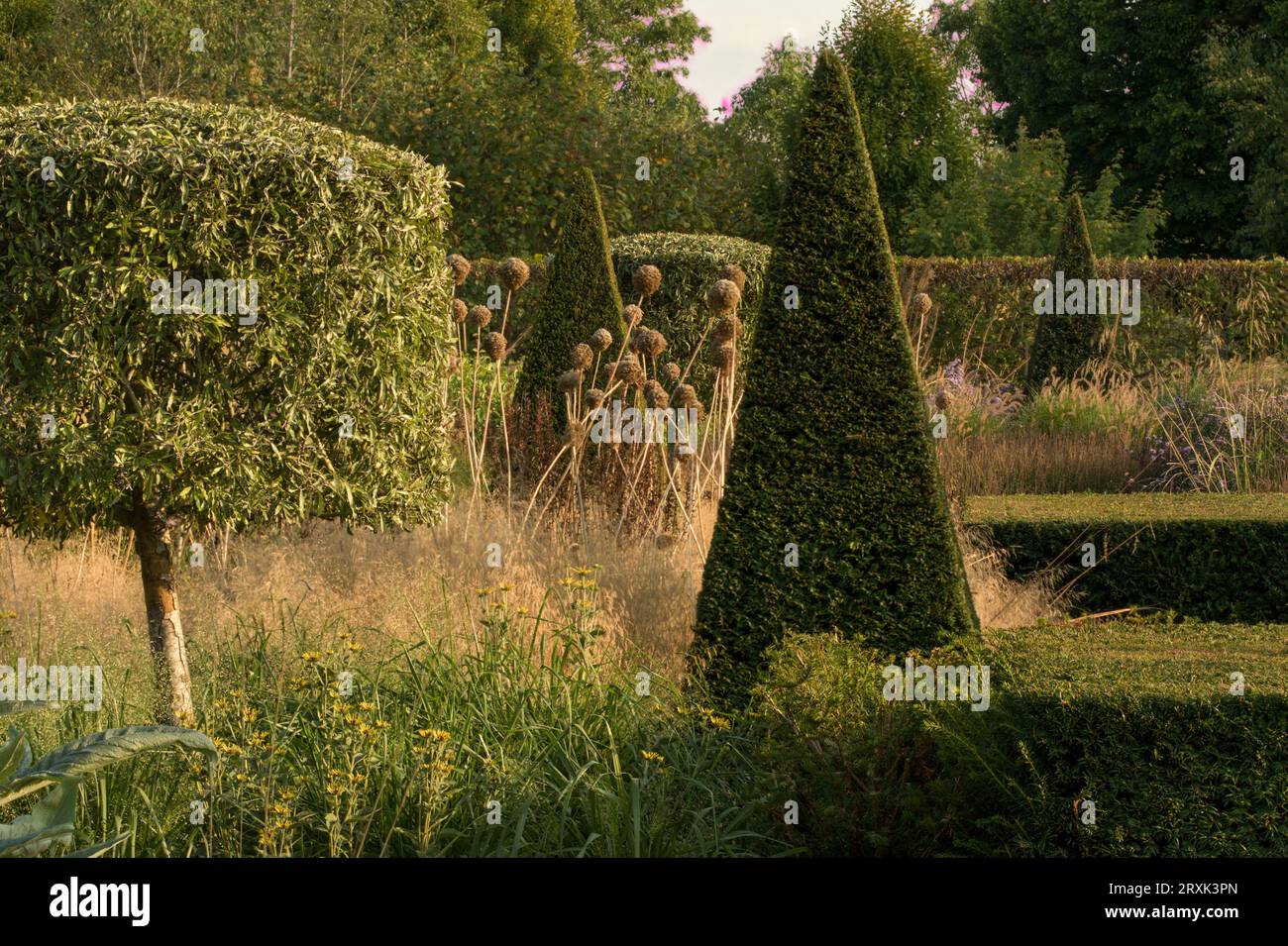Formal garden topiary in a verdant summertime setting Stock Photo - Alamy