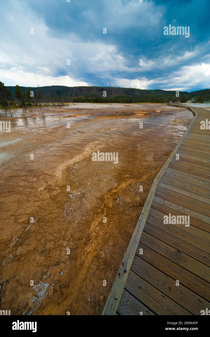Daisy Geyser is one of the most famous, predictable geysers erupting ...