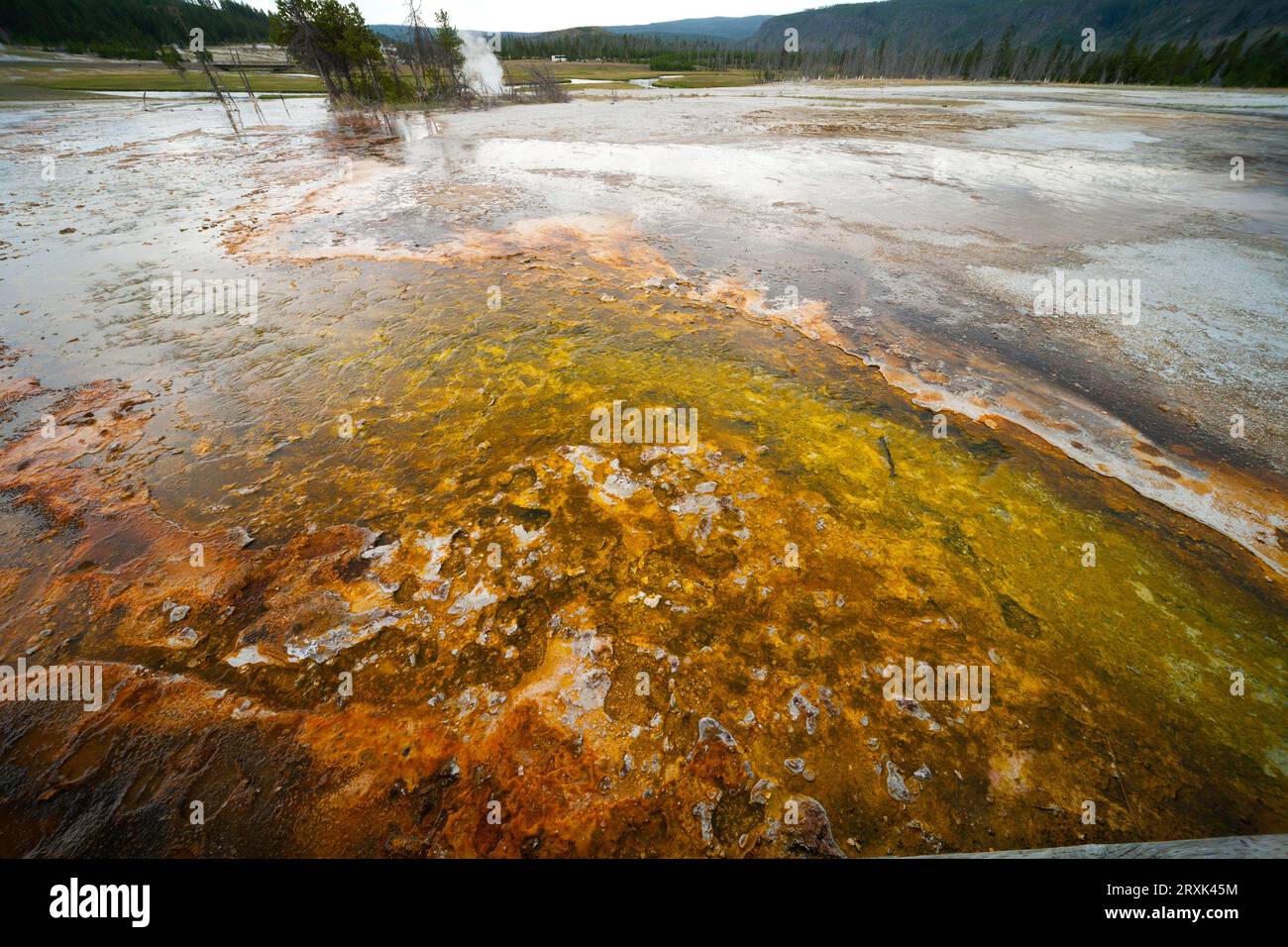 Daisy Geyser is one of the most famous, predictable geysers erupting ...