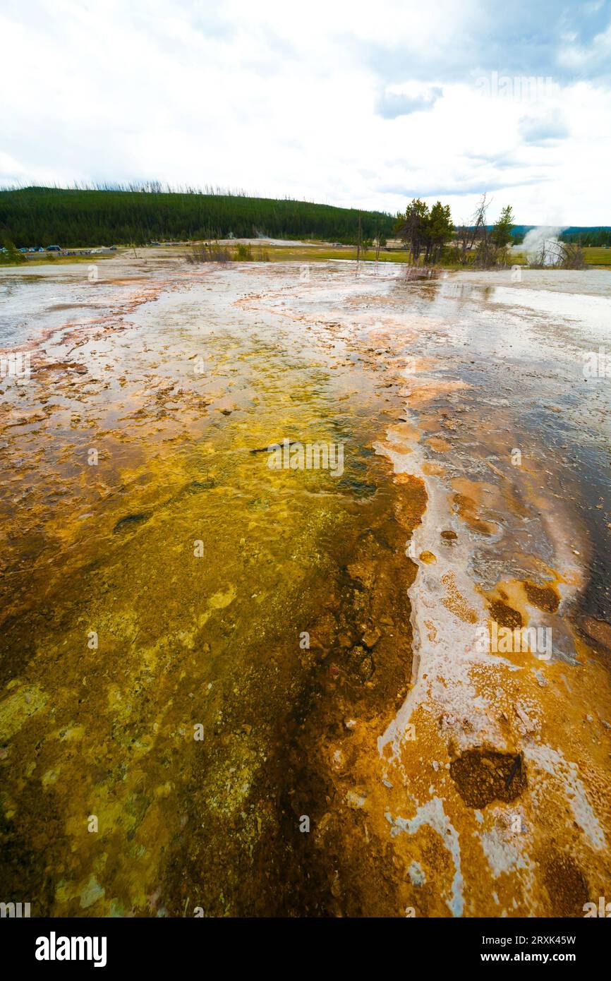 Daisy Geyser is one of the most famous, predictable geysers erupting ...