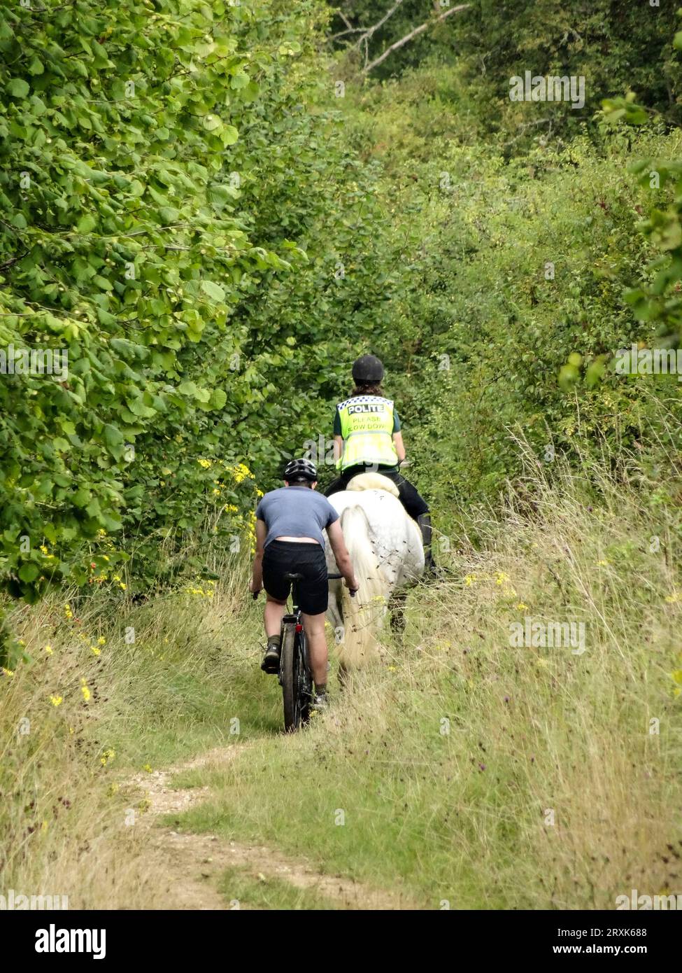 Recreation in the The Surrey Hills Area of Outstanding Natural Beauty ...