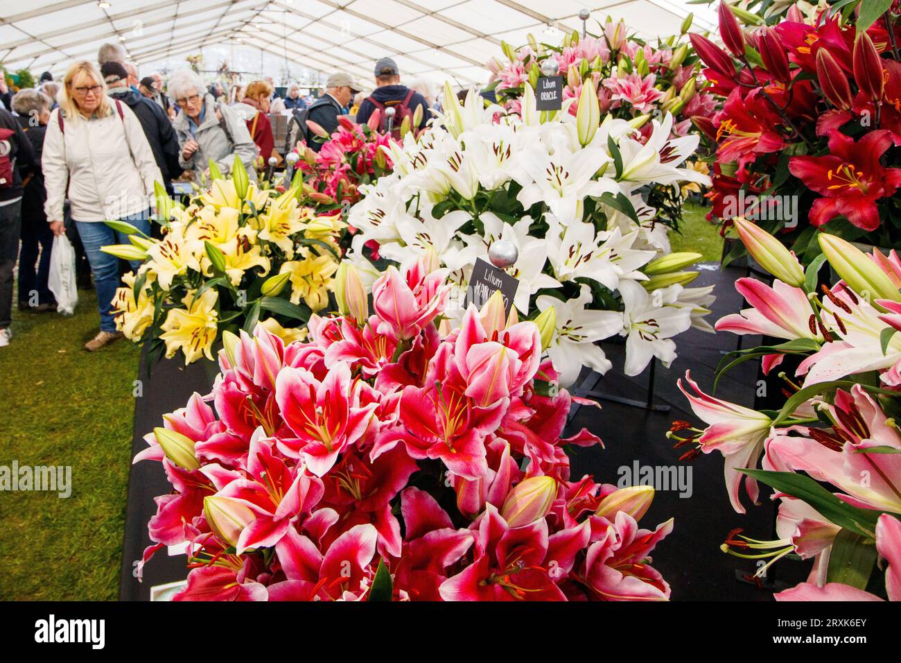 People admiring the flower displays in the Garden Theatre at the ...