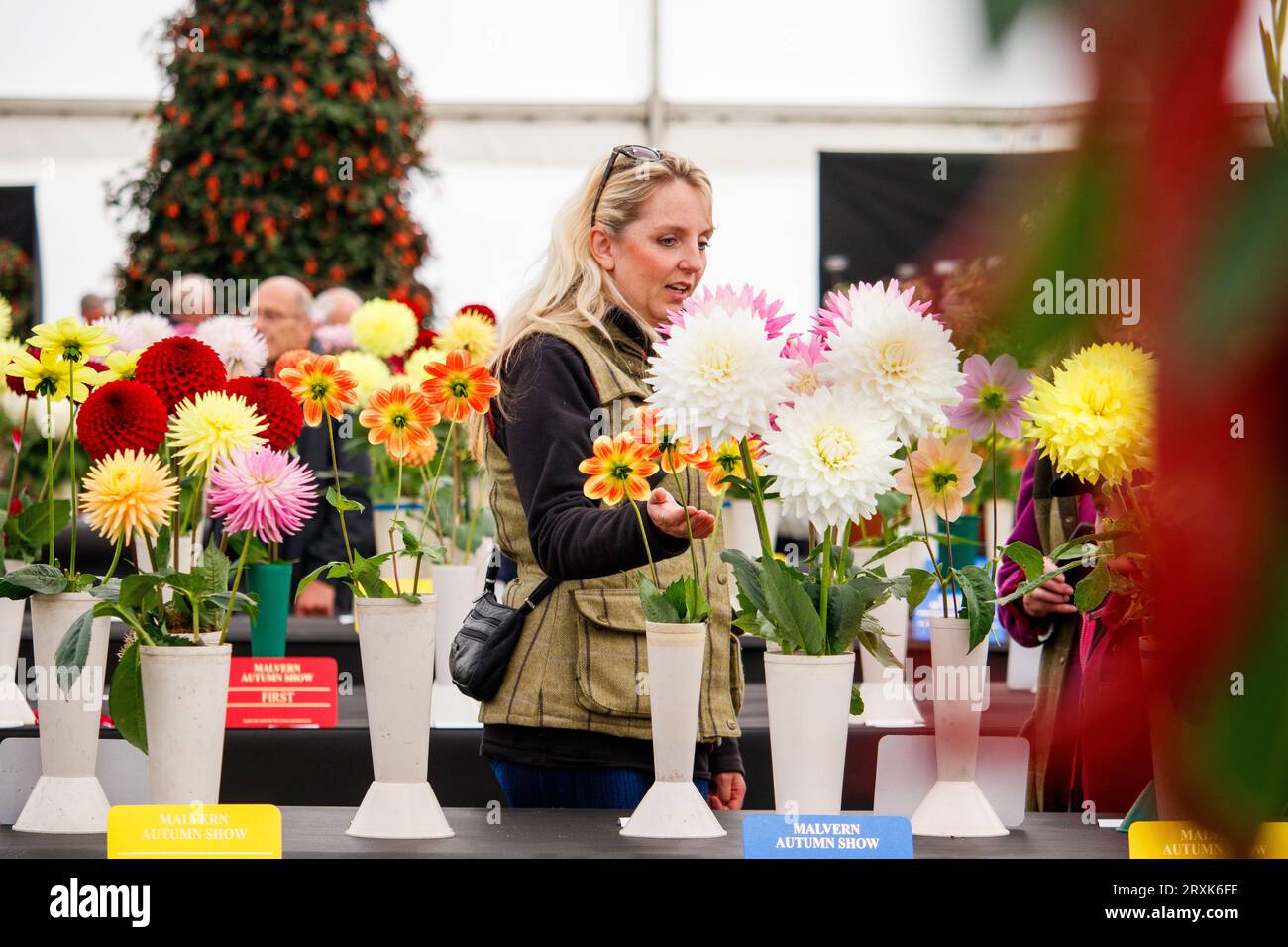 People admiring flowers in the Harvest Pavilion at the Malvern Autumn ...