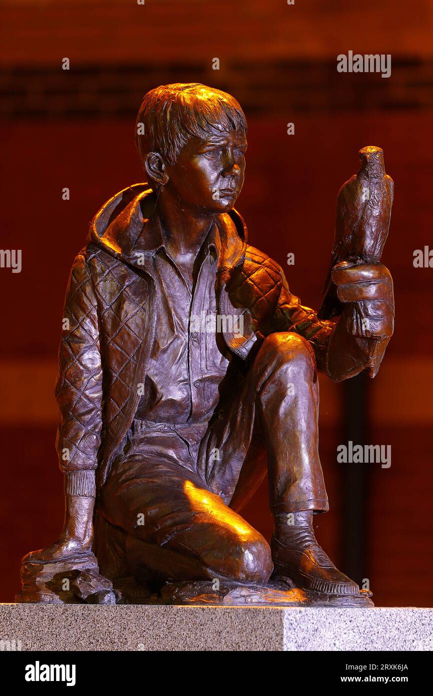 A sculpture Billy Casper in the film 'Kes' which has been installed in ...