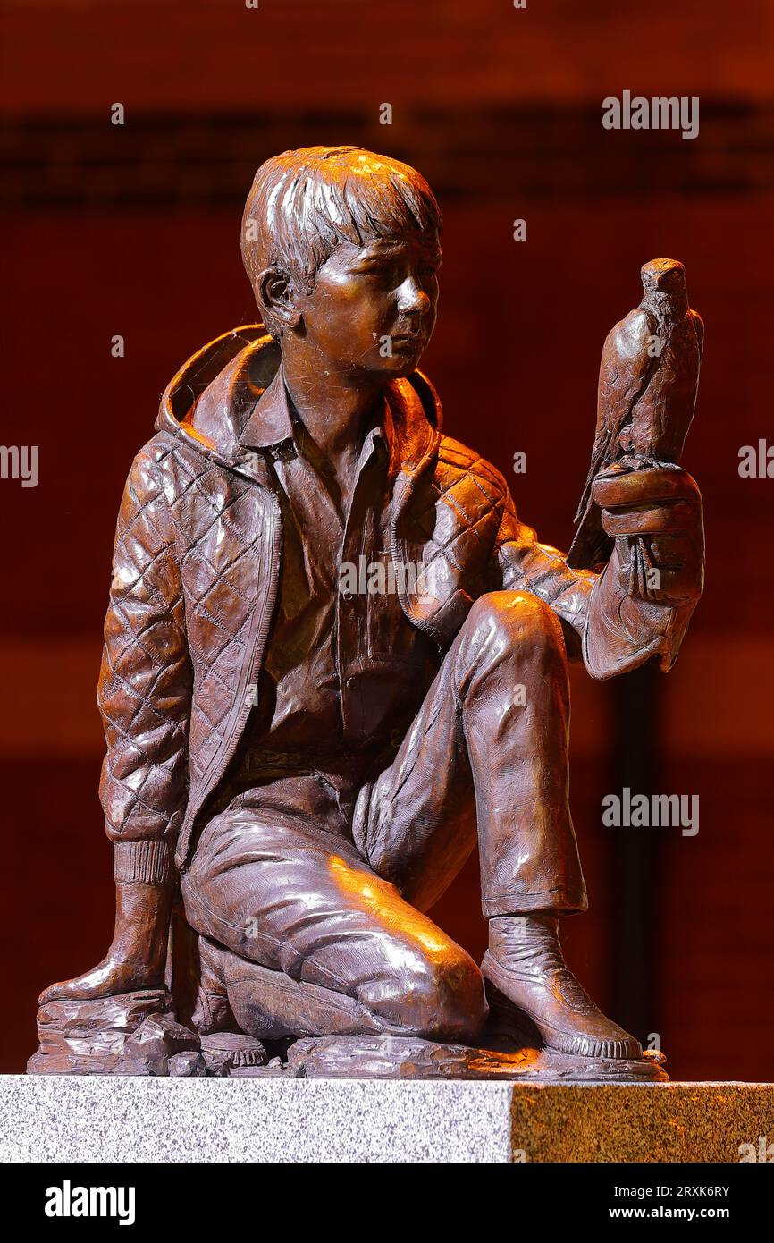 A sculpture Billy Casper in the film 'Kes' which has been installed in ...